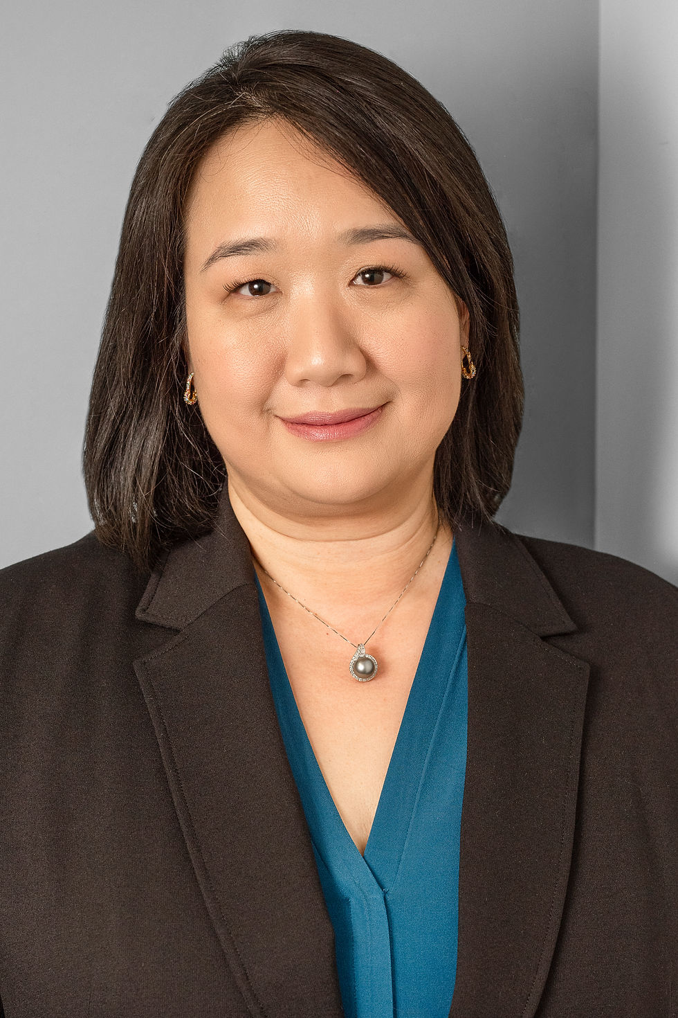 Janice Chen for Civil Court Judge Brooklyn 陳靄琪 競選紐約布魯克林金斯郡民事法庭法官